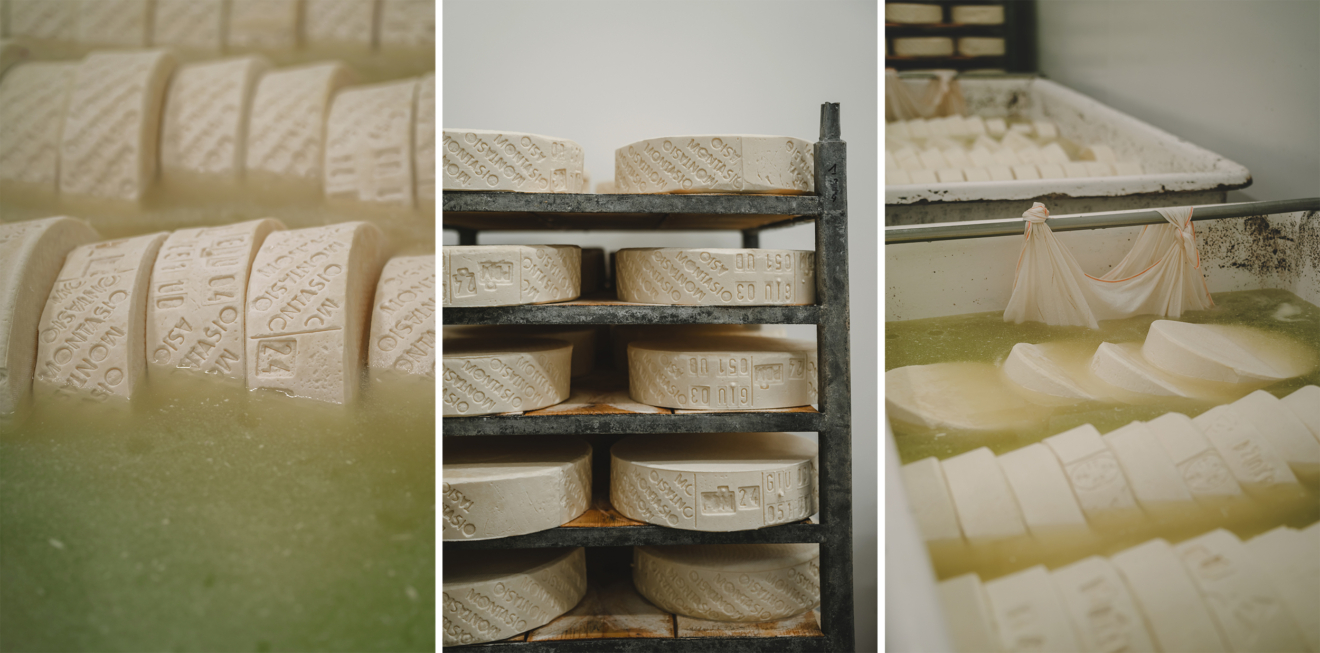 Montasio DOP il formaggio del Friuli - L'appetito vien leggendo