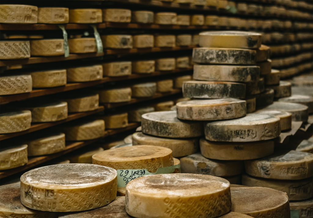 Montasio DOP il formaggio del Friuli - L'appetito vien leggendo